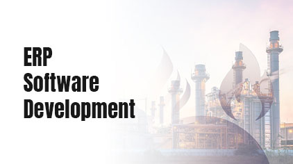 Custom ERP Software Development for a Oil and Gas Company